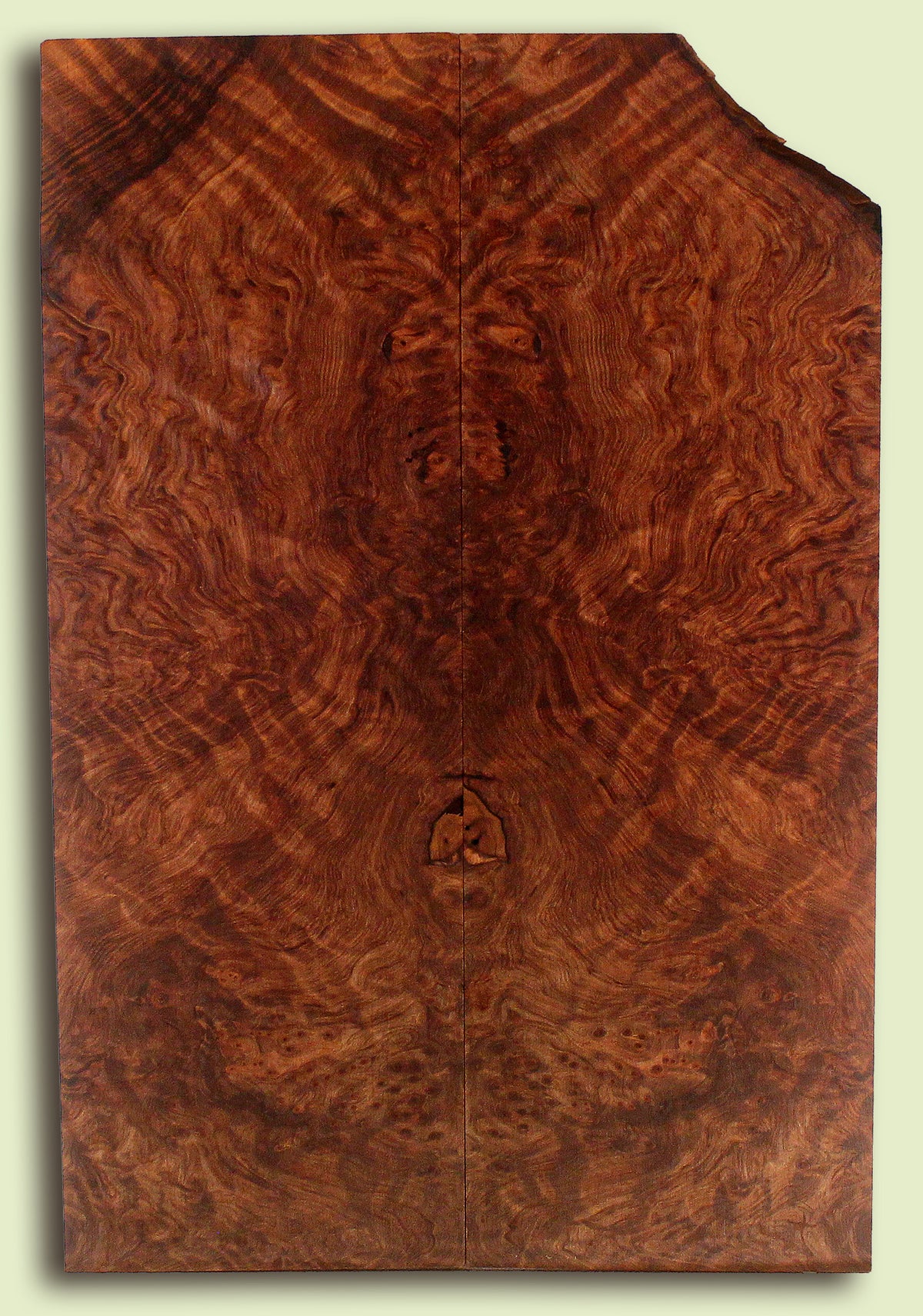 Redwood Drop Top Set, Birds Eye or Ribbon Figure — Oregon Wild Wood